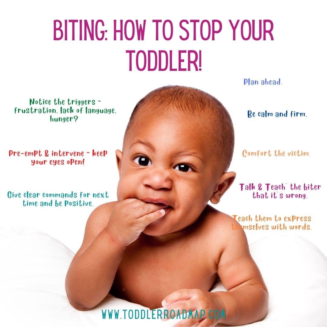 Parent s Guide How To Get Your Toddler To Stop Biting
